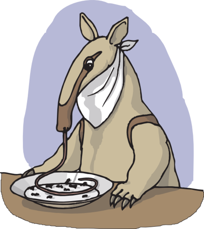 19 Awkward Moments That Every Anteater Understands A Listly List