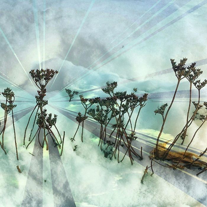 33 Graphic Design Tools To Publish Visual Content