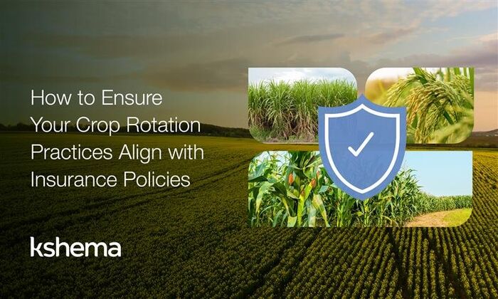 How to Ensure Your Crop Rotation Practices Align with Insurance ...