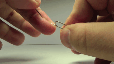 Disposable Camera Hacks for Multiple Exposures - FRONTRUNNER