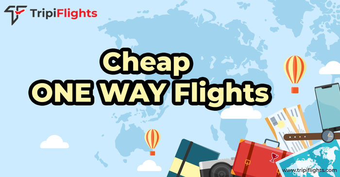 Make Travel Goes Affordable With Tripiflights | A Listly List