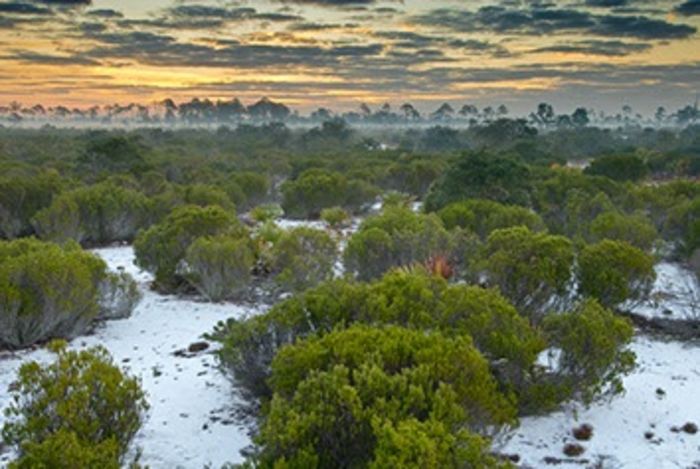 Common Ground Ecology - Wildlife Ecology and Conservation in Florida ...